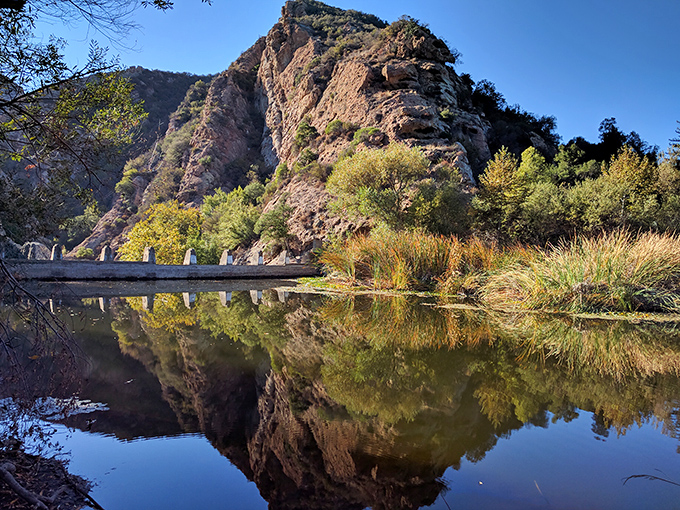 Morning light paints this rocky reflection pool gold, creating mirror images that photographers dream about nightly.