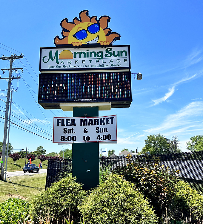 Where farmers market freshness meets flea market fun! Morning Sun Marketplace offers the best of both worlds under brilliant blue skies.