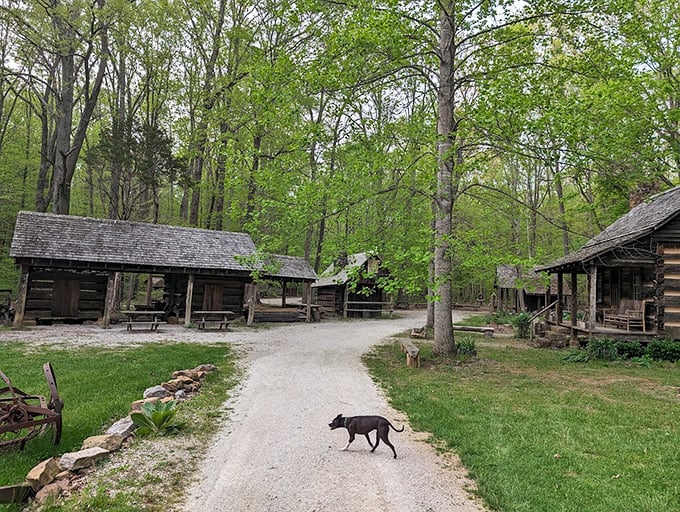 O'Bannon Woods&rsquo; historic village transports visitors to pioneer days. Time travel without the complicated physics!