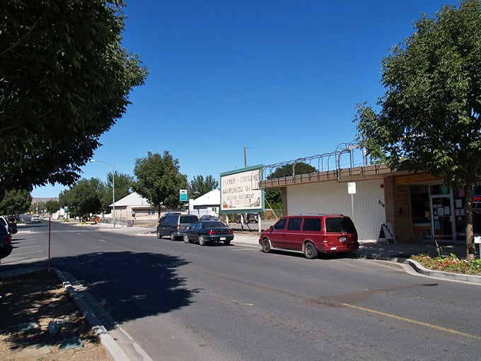 Shade trees line Quincy's quiet streets, where your Social Security check goes further than those power lines. Small-town affordability with room to breathe!