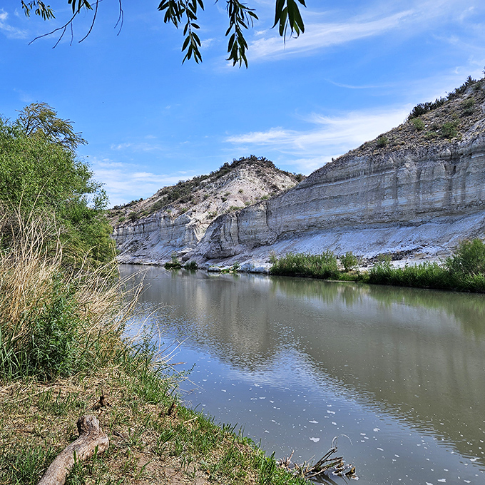 The Verde River curves gently through layered white cliffs, creating a surprisingly lush desert oasis scene.