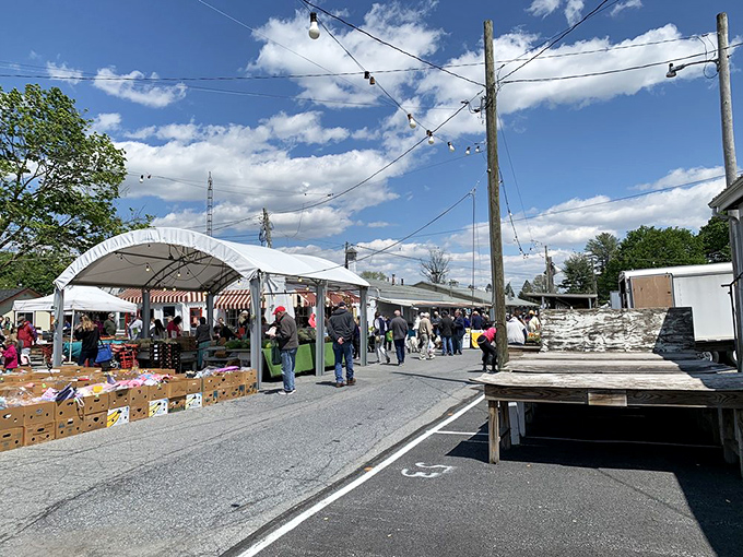 Outdoor vendor rows stretch endlessly under sunny skies, promising discoveries that'll make your neighbors jealous at the next cookout.