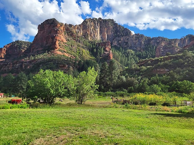 The red rock canyon at Slide Rock cradles Oak Creek, creating Arizona's most beautiful natural swimming hole.