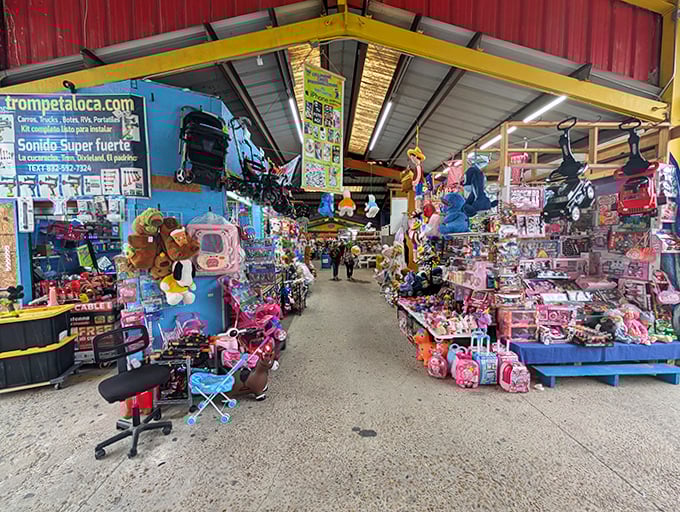 Toy paradise stretches as far as the eye can see. Sunny Flea Market's vibrant stalls overflow with colorful treasures.