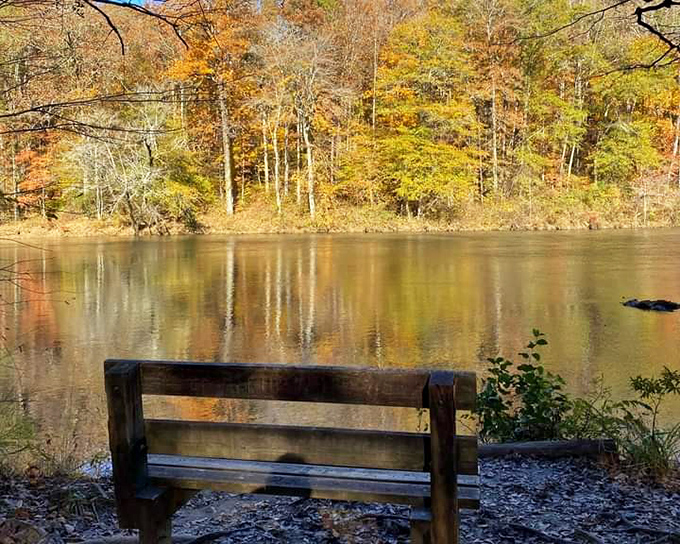 Sweetwater Creek's wooden footbridge invites exploration of hidden forest treasures. A perfect gateway to nature just minutes from Atlanta.