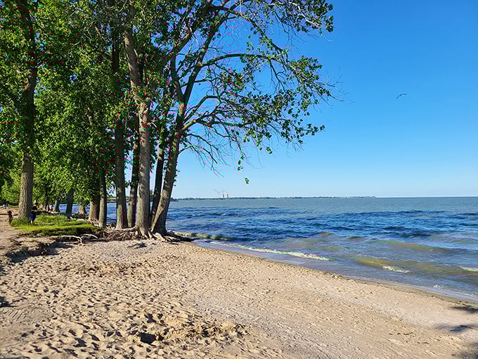 Who needs a Caribbean getaway? Sterling's golden shores and gentle waves create the perfect Michigan staycation destination.