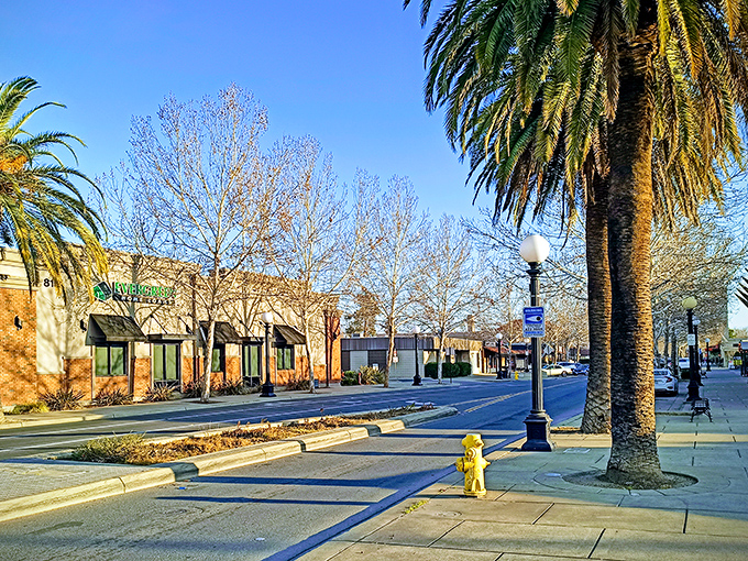 Palm trees line Yuba City's welcoming main street, where retirement dollars stretch further. The perfect blend of California sunshine and small-town affordability awaits.