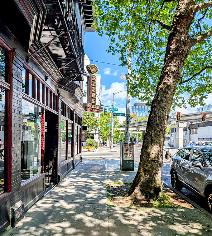 Dappled sunlight through tree branches creates the perfect path to Zeeks. Follow the sidewalk to pizza happiness!