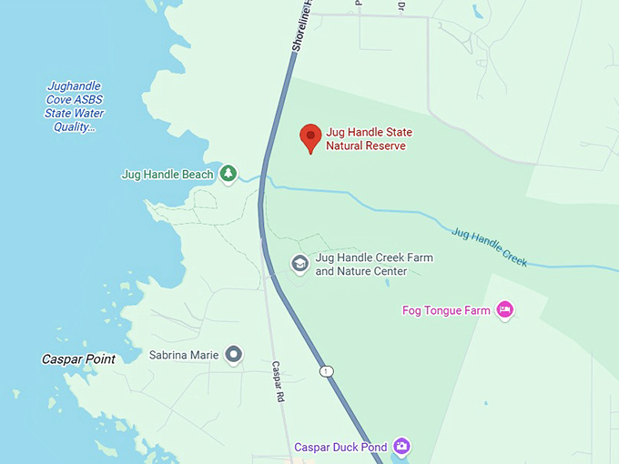 screenshot 2025 11 17 at 11.50.06 am