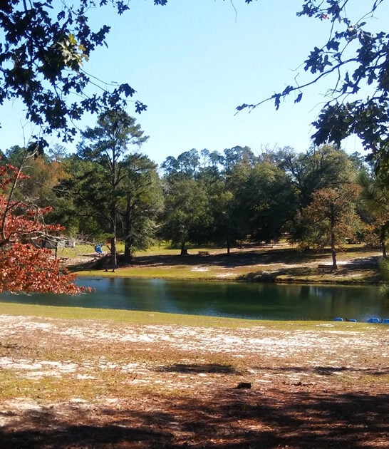 acre south carolina park ftr