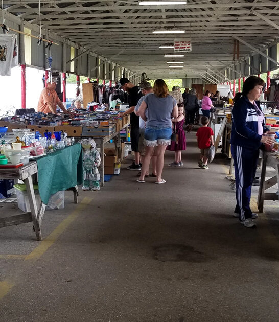 affordable market florida flea ftr