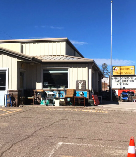 affordable thrifts new mexico ftr
