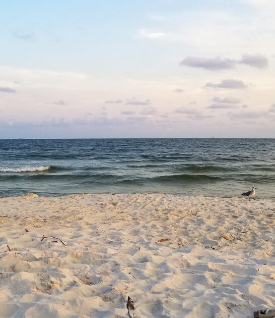 alabama beaches breathtaking ftr