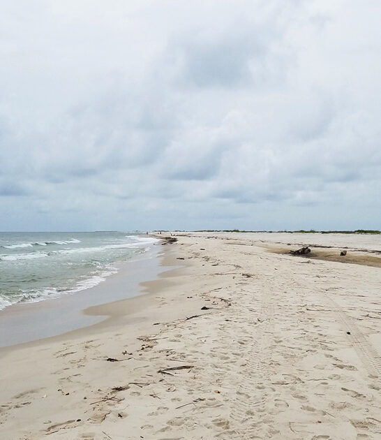 alabama beaches underrated ftr