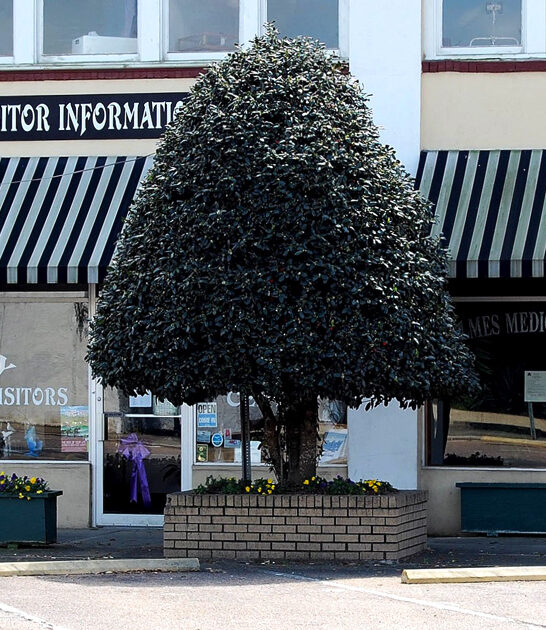 alabama cheap retirement town ftr