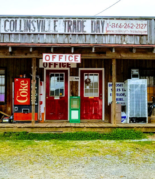 alabama market bargains ftr