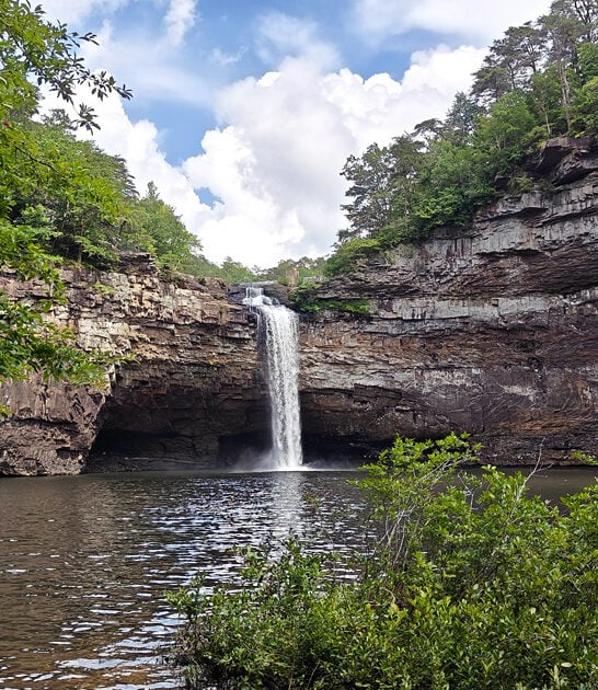 alabama postcard nature park ftr