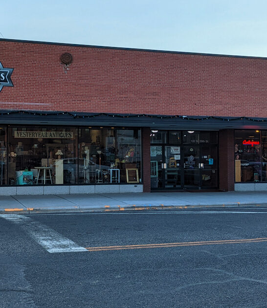 antique enormous store montana ftr