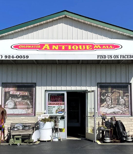 antique michigan rare treasures ftr