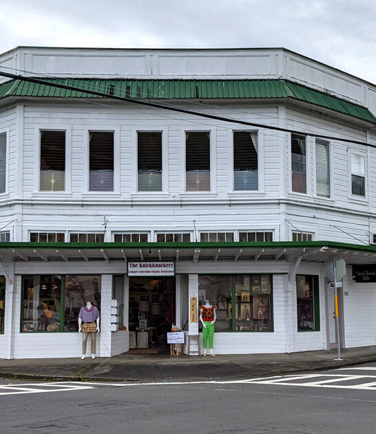 antique store hawaii good ftr