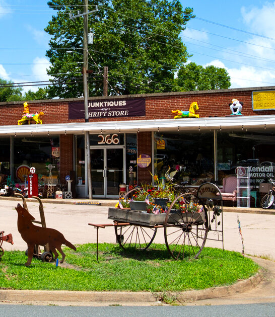 antique store treasure virginia ftr