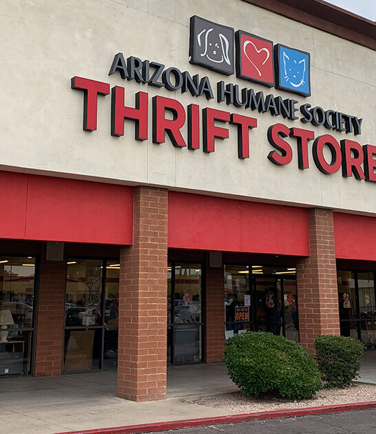 arizona deals thrift store ftr