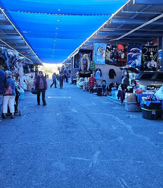 arizona enormous swap meet ftr