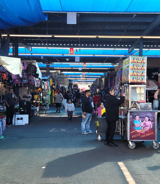 arizona gigantic swap meet ftr