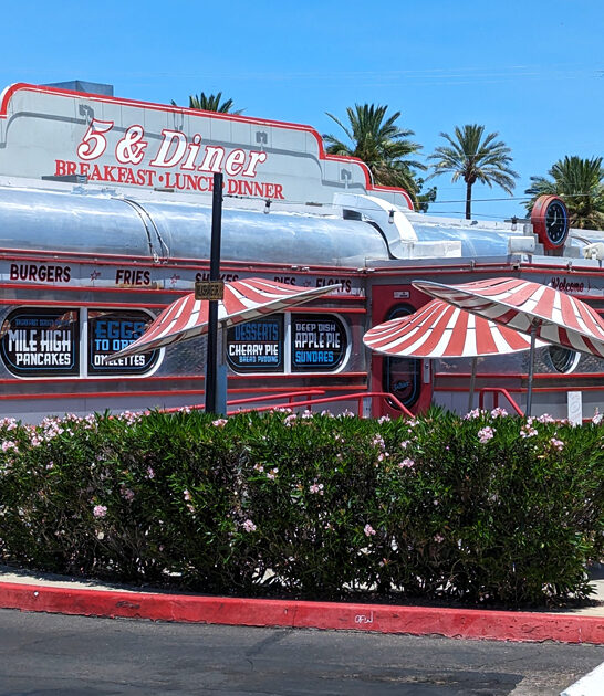 arizona legendary diner style ftr