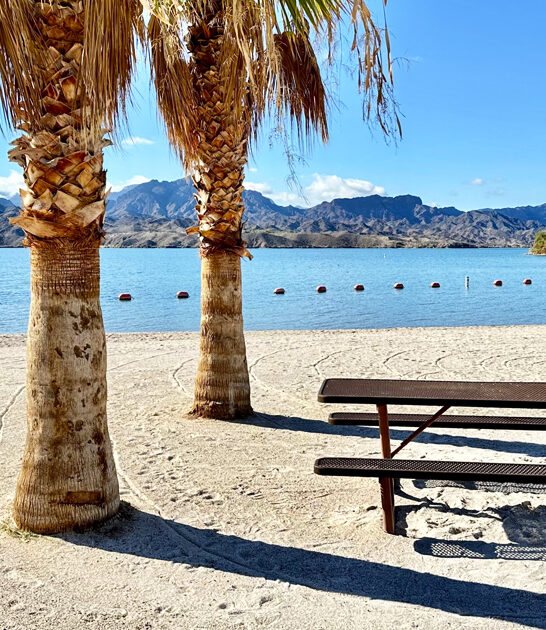 arizona park serene retreat ftr