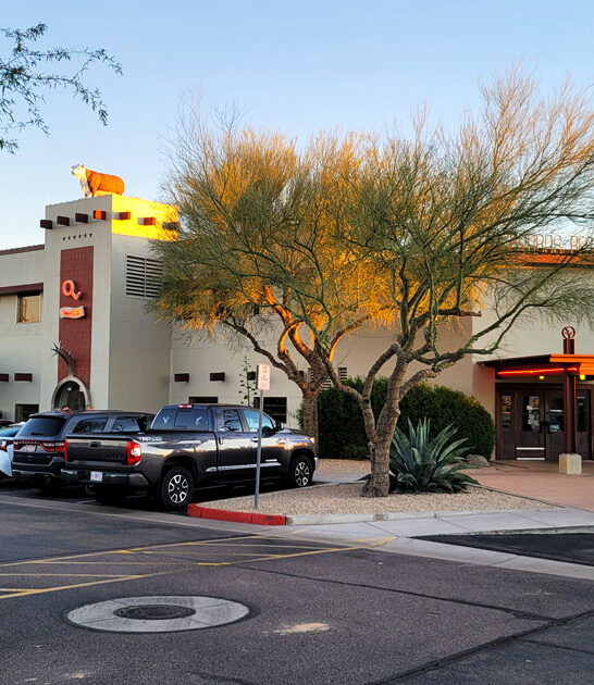 arizona rib legendary prime ftr