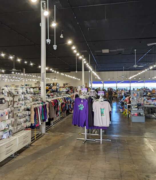 arizona secondhand shop dream ftr