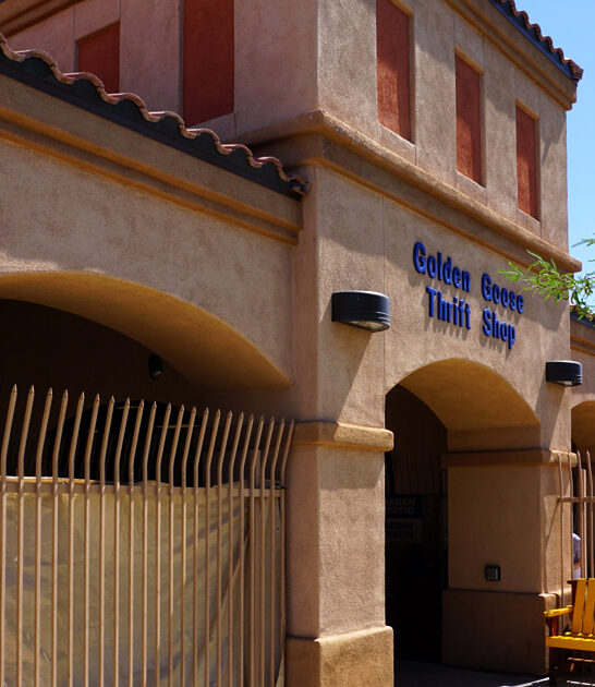 arizona store collection thrift ftr