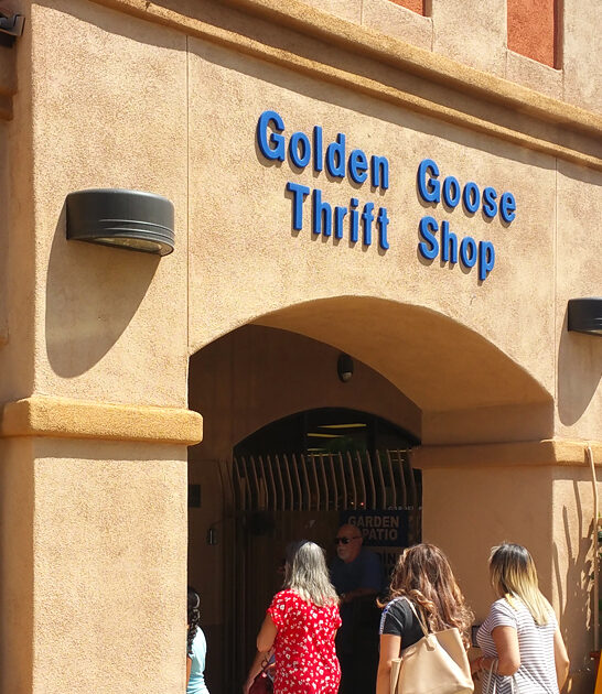 arizona store shopping thrift ftr
