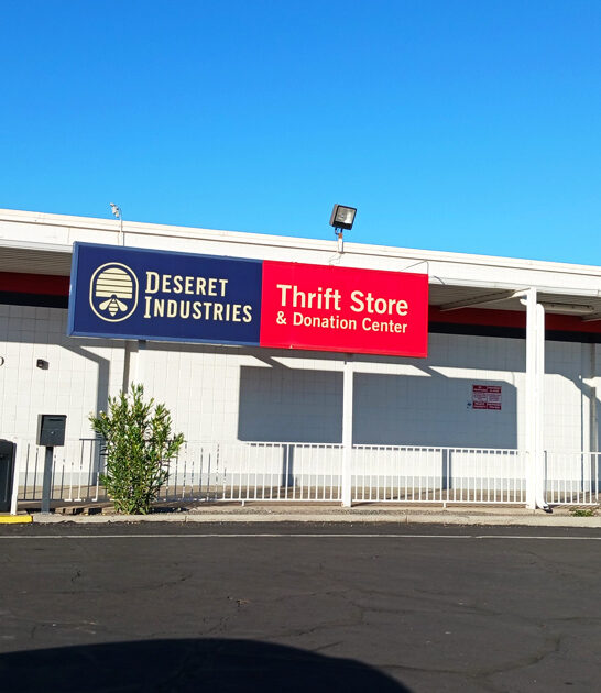 arizona thrift shop bargains ftr