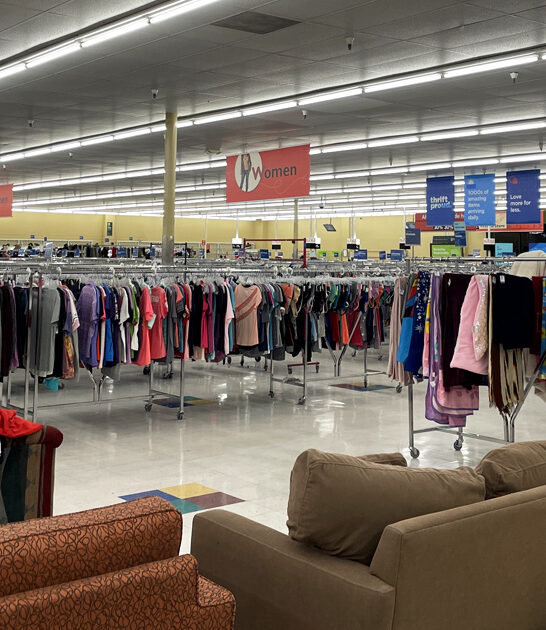 arizona thrift store trip ftr