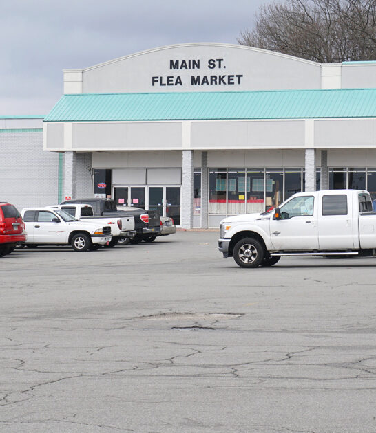 arkansans massive flea good ftr