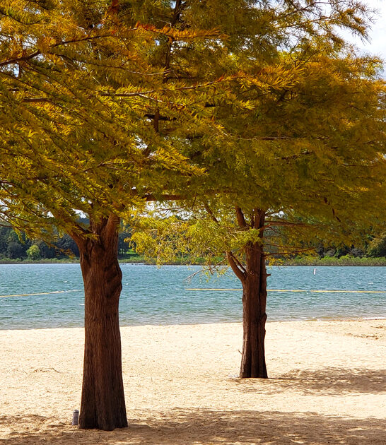 arkansas beaches underrated ftr