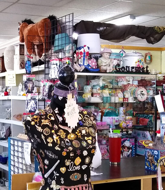 arkansas flea budget finds ftr