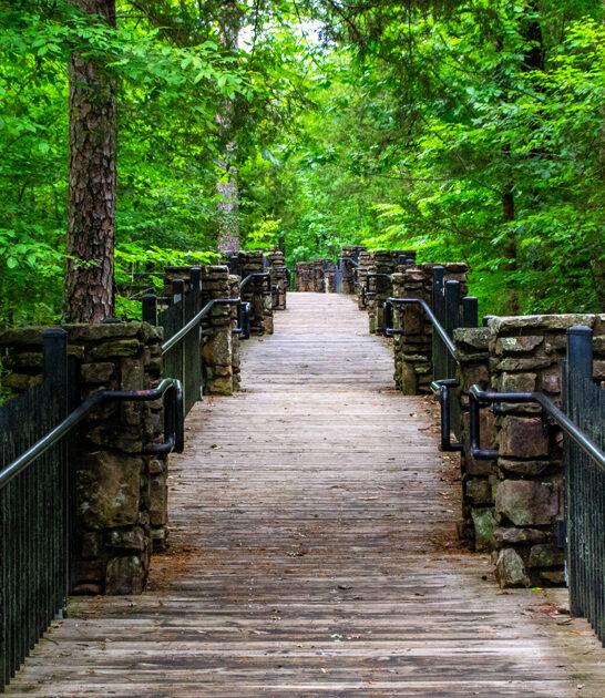 arkansas nature state park ftr