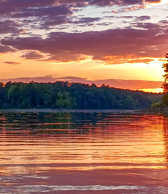 arkansas outdoor park discovery ftr