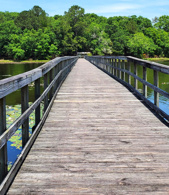 awesome big park alabama ftr