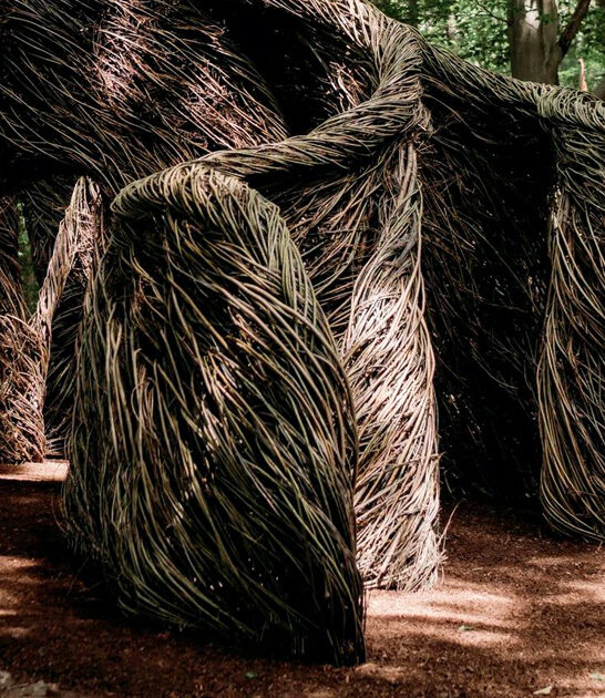 awesome botanical garden ohio ftr