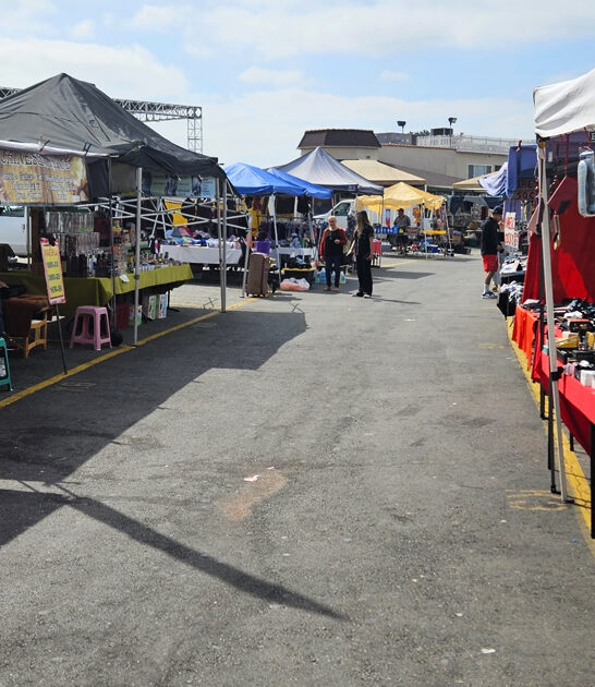 awesome rare finds california ftr