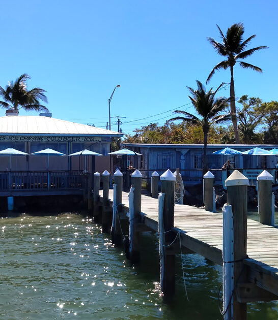 bait shop florida sandwich FTR