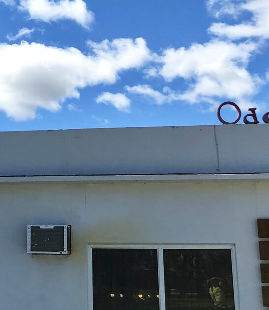 bargain hunt destination florida ftr