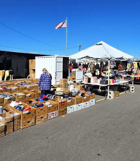 bargain hunt icon wisconsin ftr