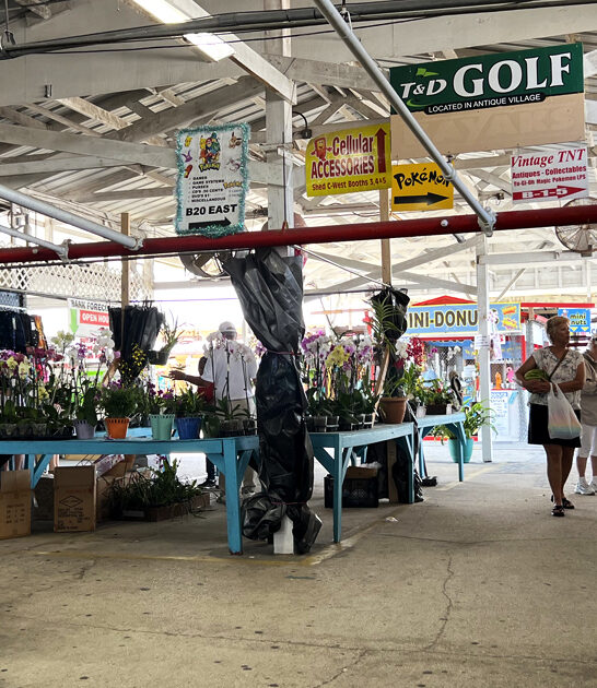 bargain hunters florida flea ftr