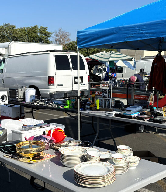 bargain hunters market california ftr