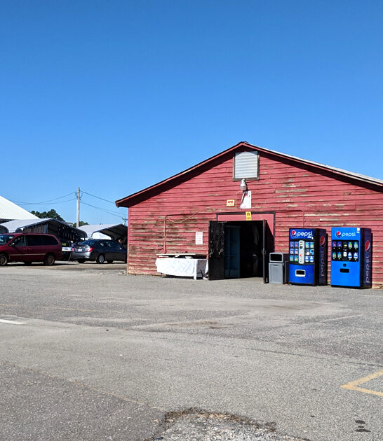 bargain hunters north carolina ftr